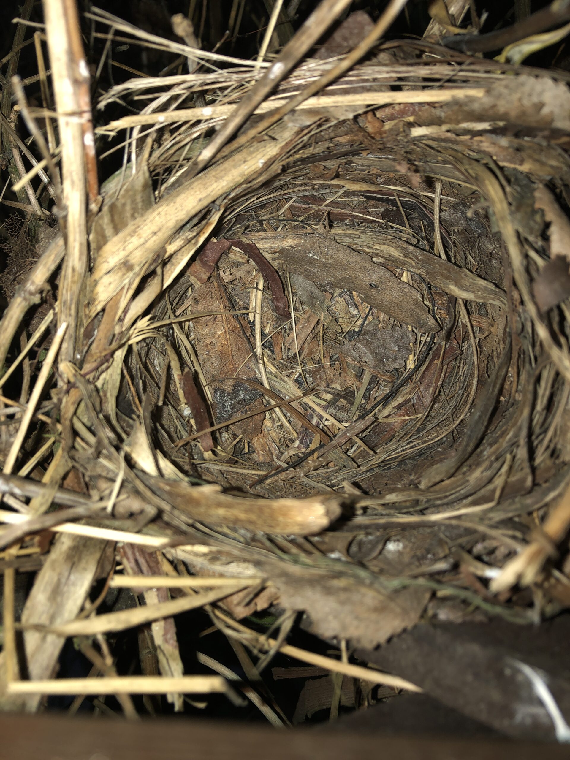 Top Secret - pierwszy polski magazyn "gaming'owy"... - Retro HC Lab