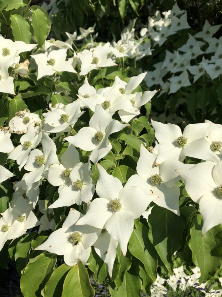 Top Secret - pierwszy polski magazyn "gaming'owy"... - Retro HC Lab