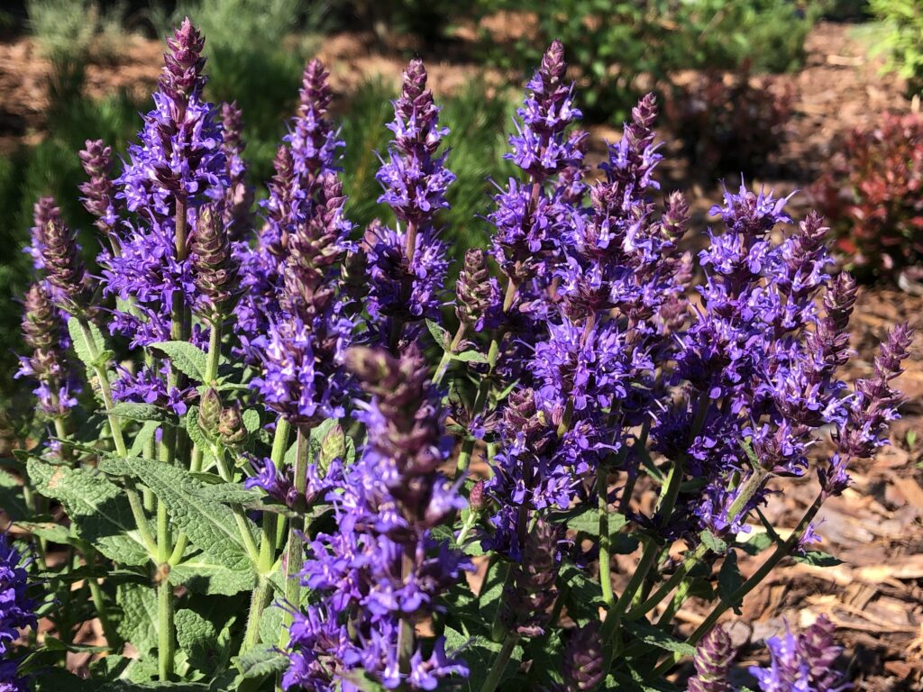 Top Secret - pierwszy polski magazyn "gaming'owy"... - Retro HC Lab