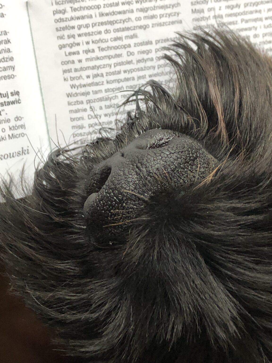 Top Secret - pierwszy polski magazyn "gaming'owy"... - Retro HC Lab